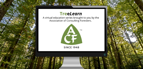 TreeLearn On Demand